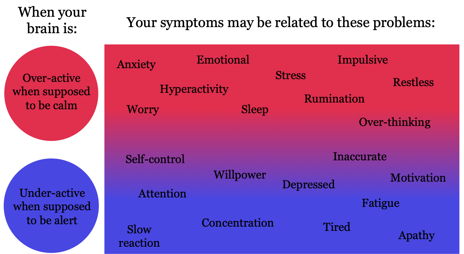 Training Brains – Dr. Berntsen is a Consultant Psychologist and ...